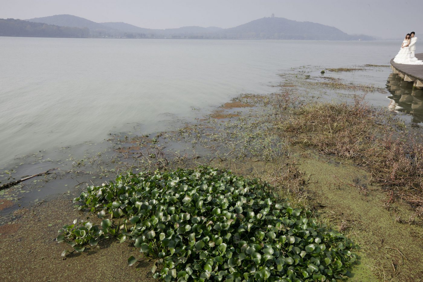 Pollution of Lake Tai, China
