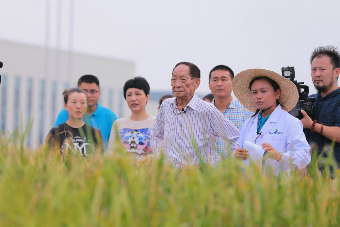 Will ‘seawater rice’ ensure China’s food security? Will ‘seawater rice’ ensure China’s food security?